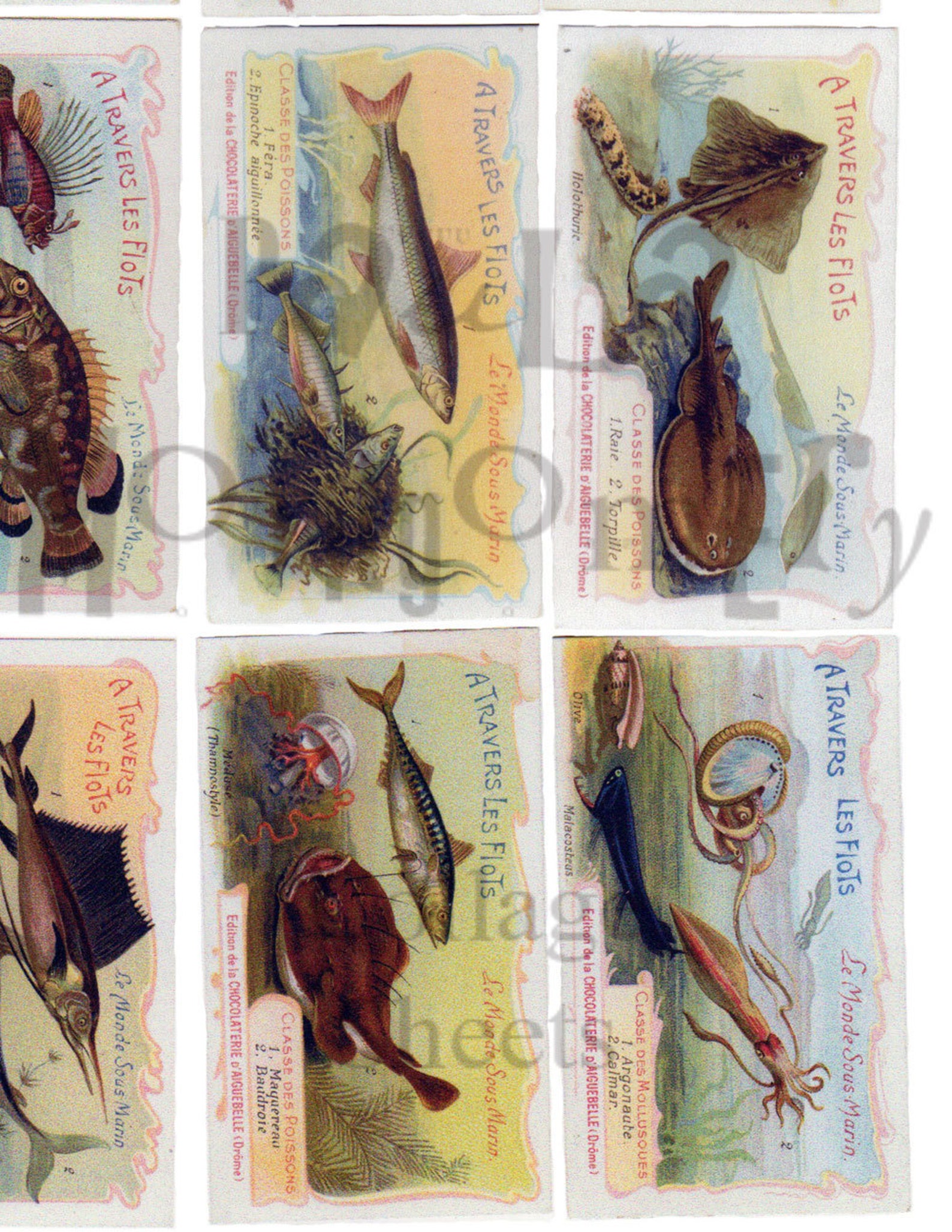 Fish Number 1 Digital Download Collage Sheet - Etsy