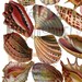 By the Sea Number 2 Digital Download Collage Sheet - Etsy
