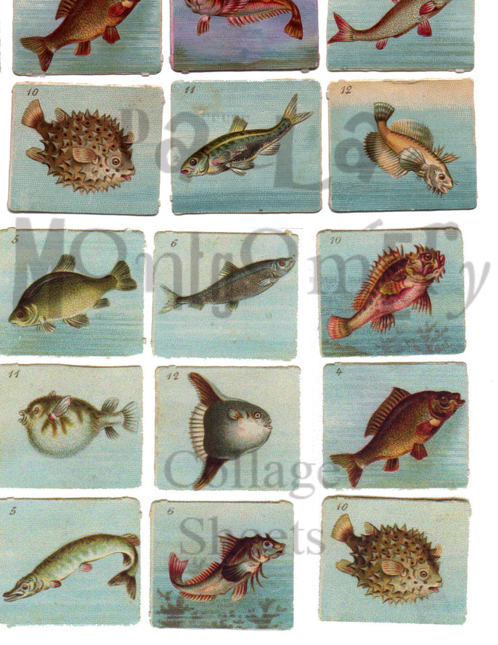 Fish Number 2 Digital Download Collage Sheet - Etsy