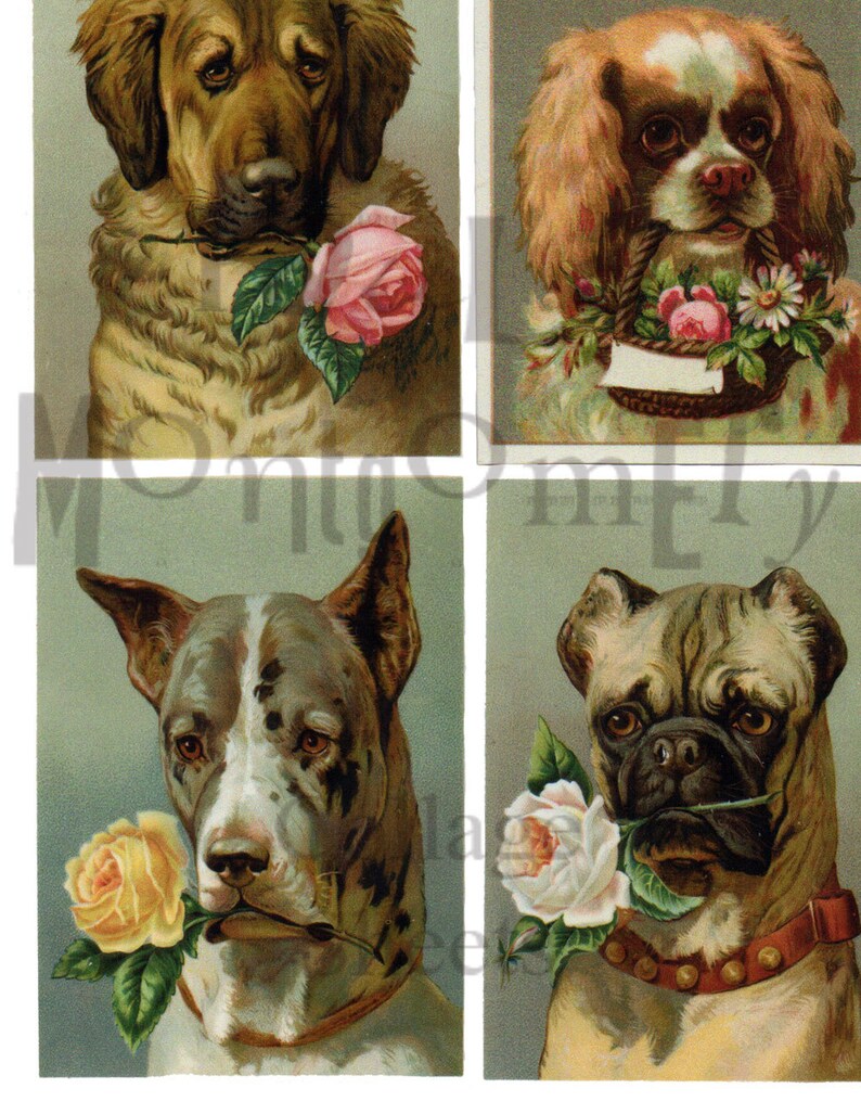 Dogs Number 3 Digital Download Collage Sheet - Etsy