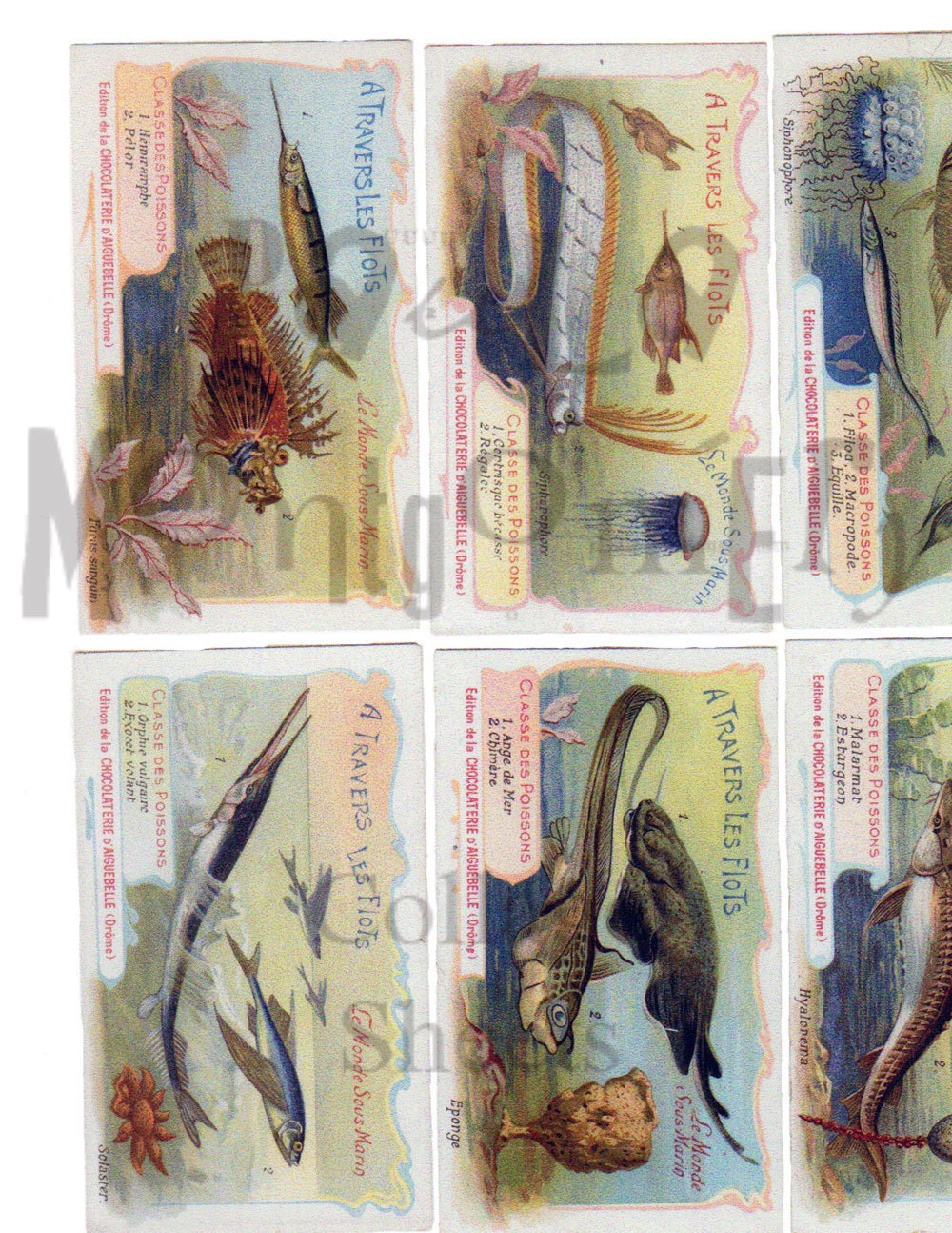 Fish Number 1 Digital Download Collage Sheet - Etsy