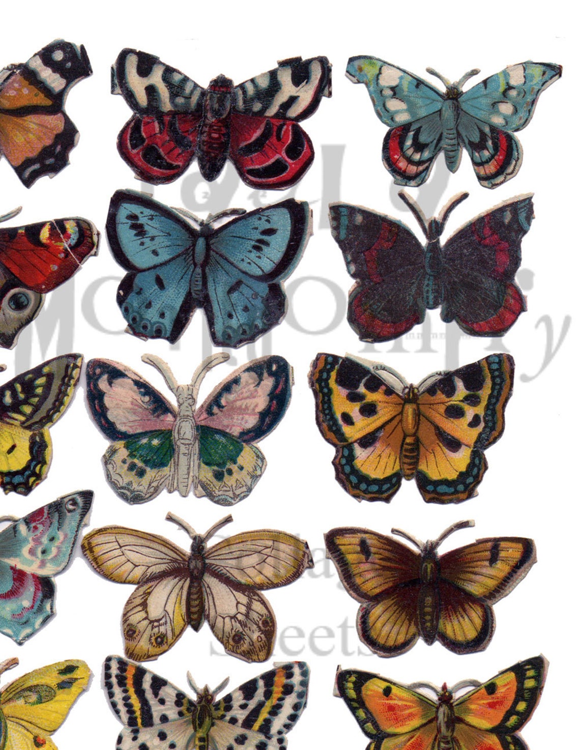 Butterflies Digital Download Collage Sheet - Etsy