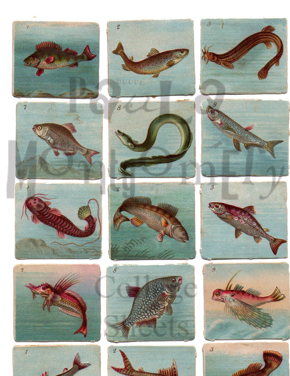 Fish Number 2 Digital Download Collage Sheet - Etsy