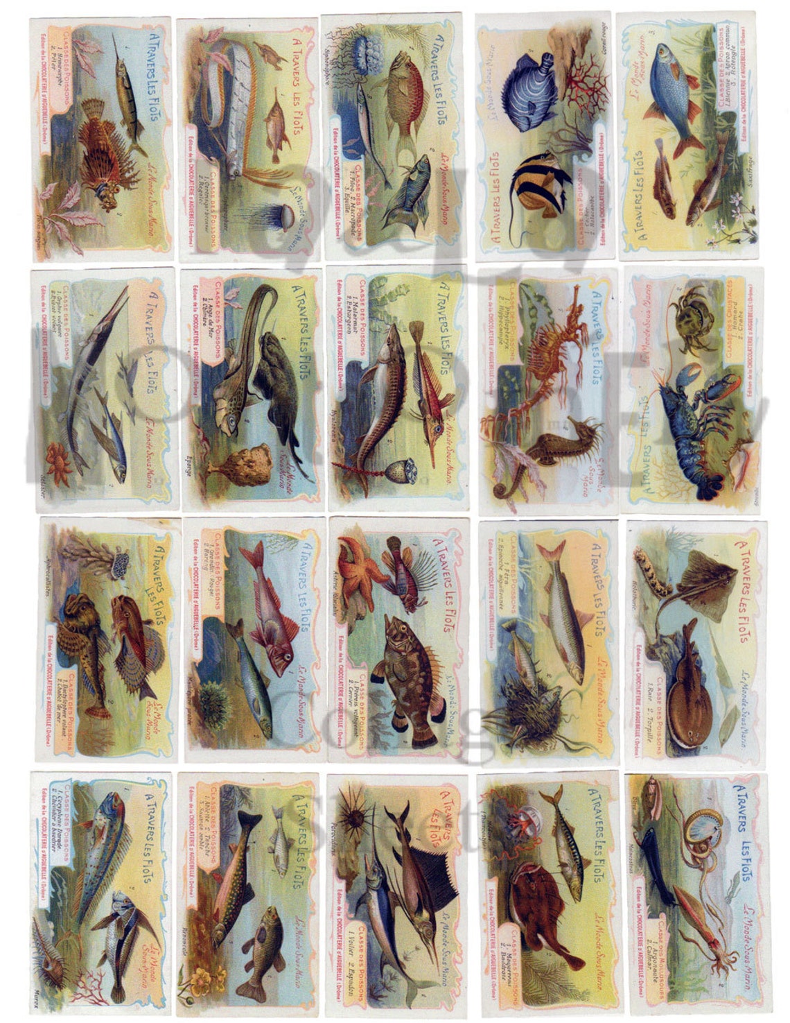 Fish Number 1 Digital Download Collage Sheet - Etsy