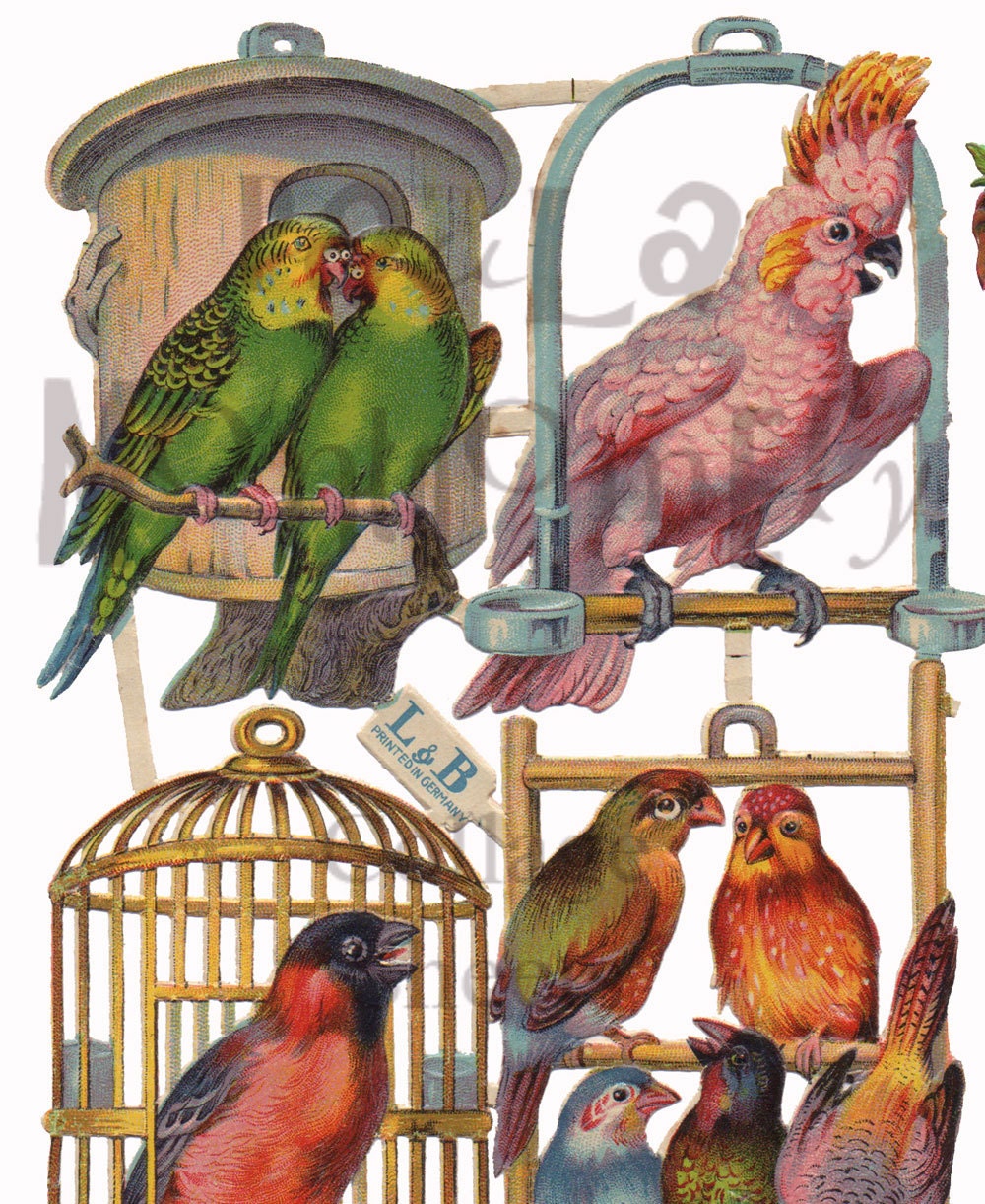 Birds Number 2 Digital Download Collage Sheet - Etsy