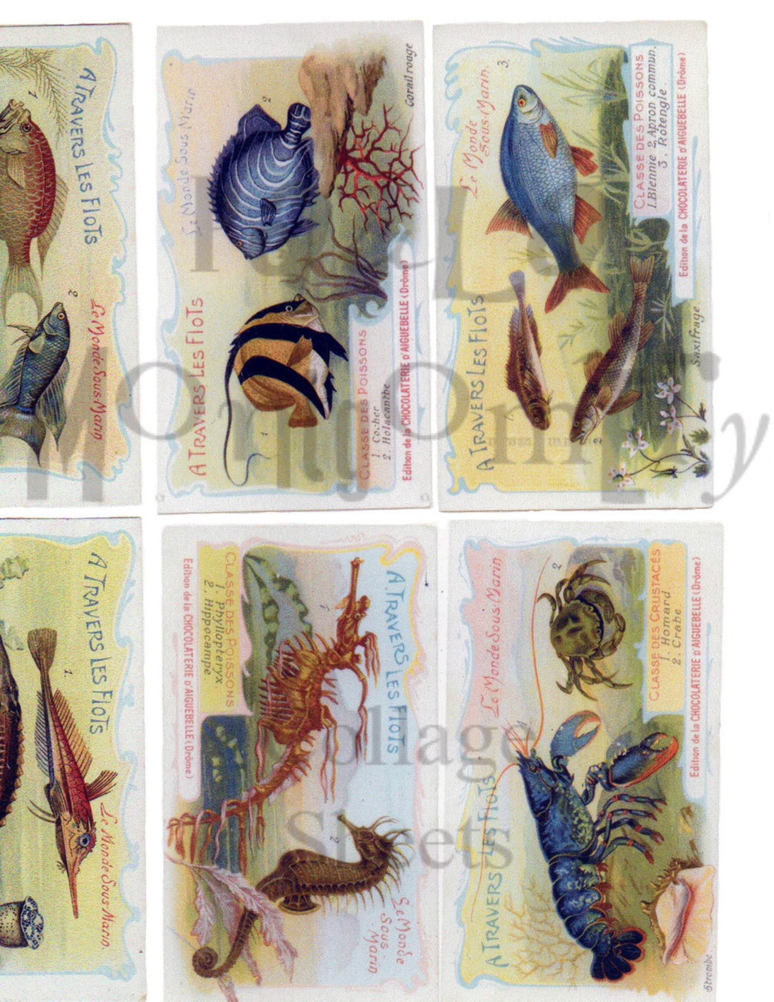 Fish Number 1 Digital Download Collage Sheet - Etsy