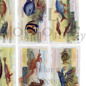 Fish Number 1 Digital Download Collage Sheet - Etsy