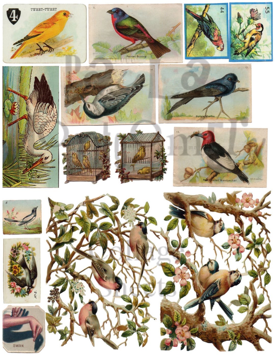 Birds Number 8 Digital Download Collage Sheet - Etsy