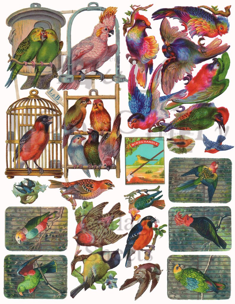 Birds Number 2 Digital Download Collage Sheet - Etsy