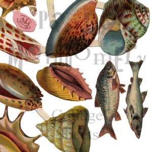 By the Sea Number 2 Digital Download Collage Sheet - Etsy