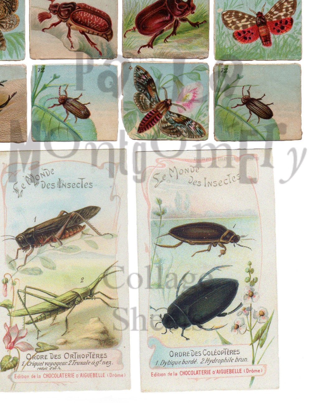 Insects Number 1 Digital Download Collage Sheet - Etsy