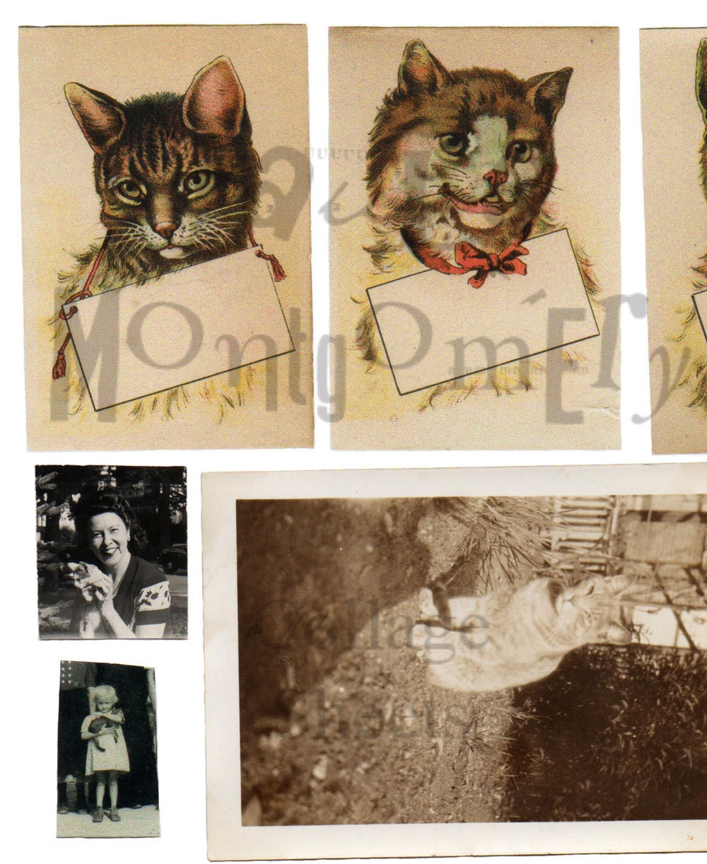 Vintage Cat Photos Number 1 Digital Download Collage Sheet - Etsy