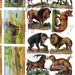 Wild Animals Number 1 Digital Download Collage Sheet - Etsy