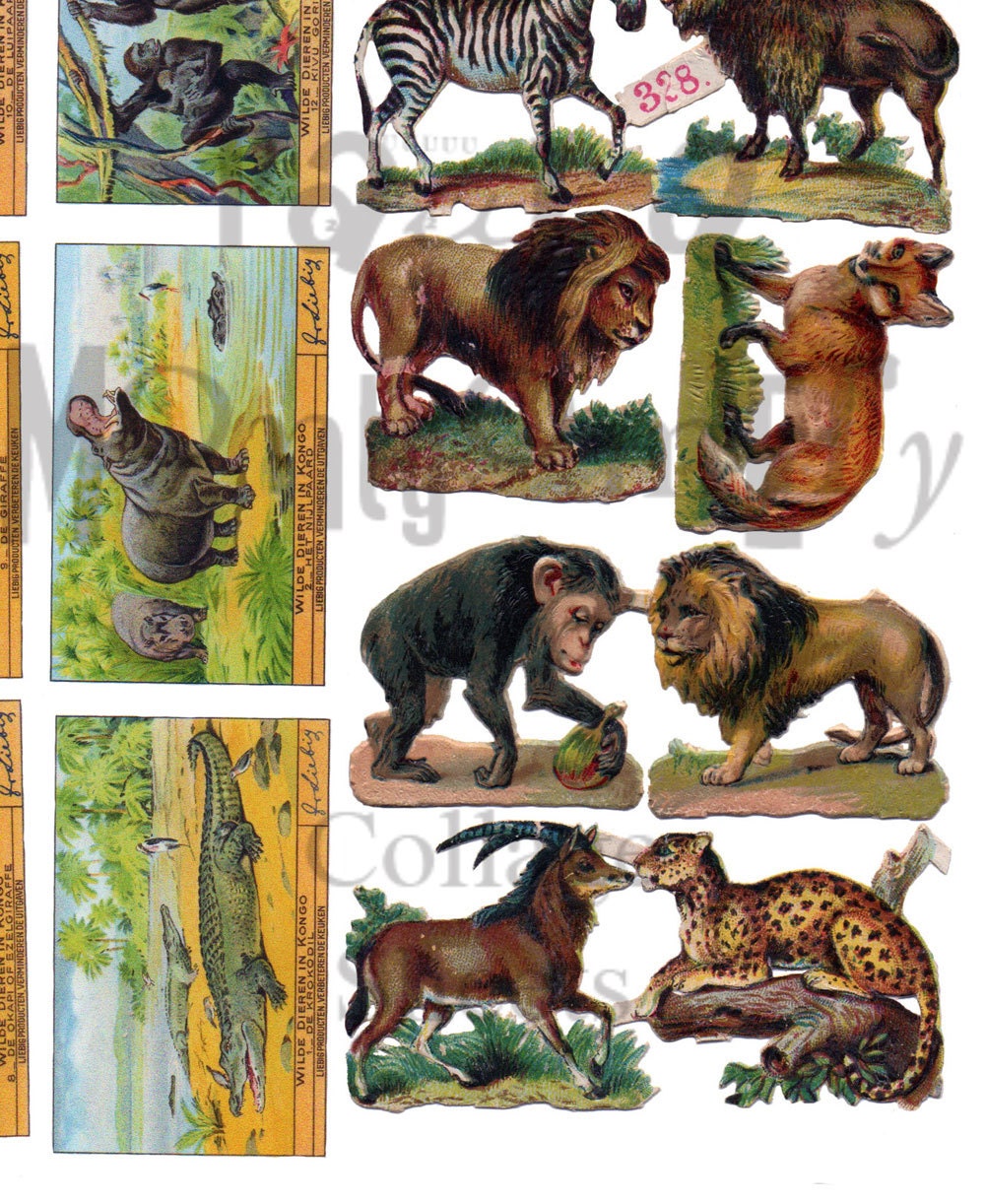Wild Animals Number 1 Digital Download Collage Sheet - Etsy