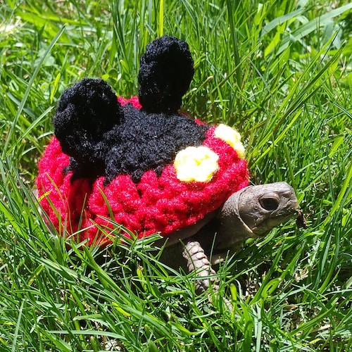 Crochet Kiwi Costume for Turtles/ Tortoises - Etsy