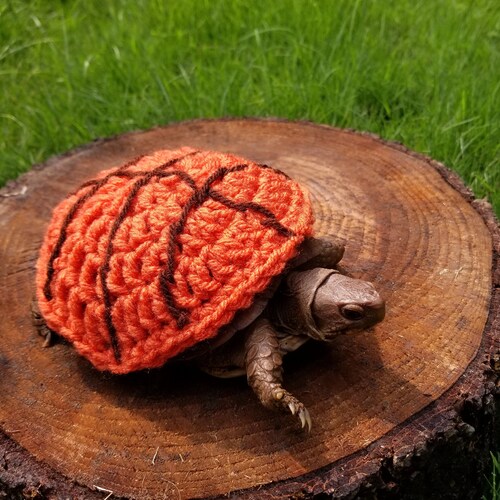 Crab Inspired Crochet Costume for Turtles/ Tortoises - Etsy