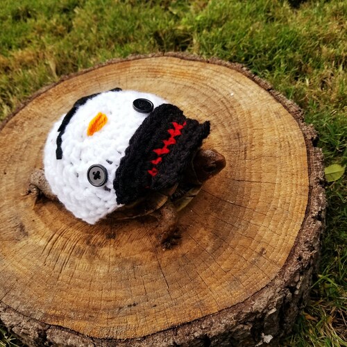 Mariachi Sombrero Turtle/tortoise Costume - Etsy