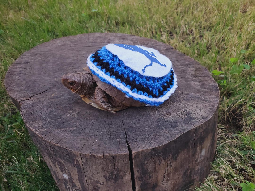 Sport Team Inspired Crochet Costume With Felt/vinyl Applique for Turtle ...