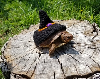 Birthday Hat Costume for Turtles/tortoises | Etsy