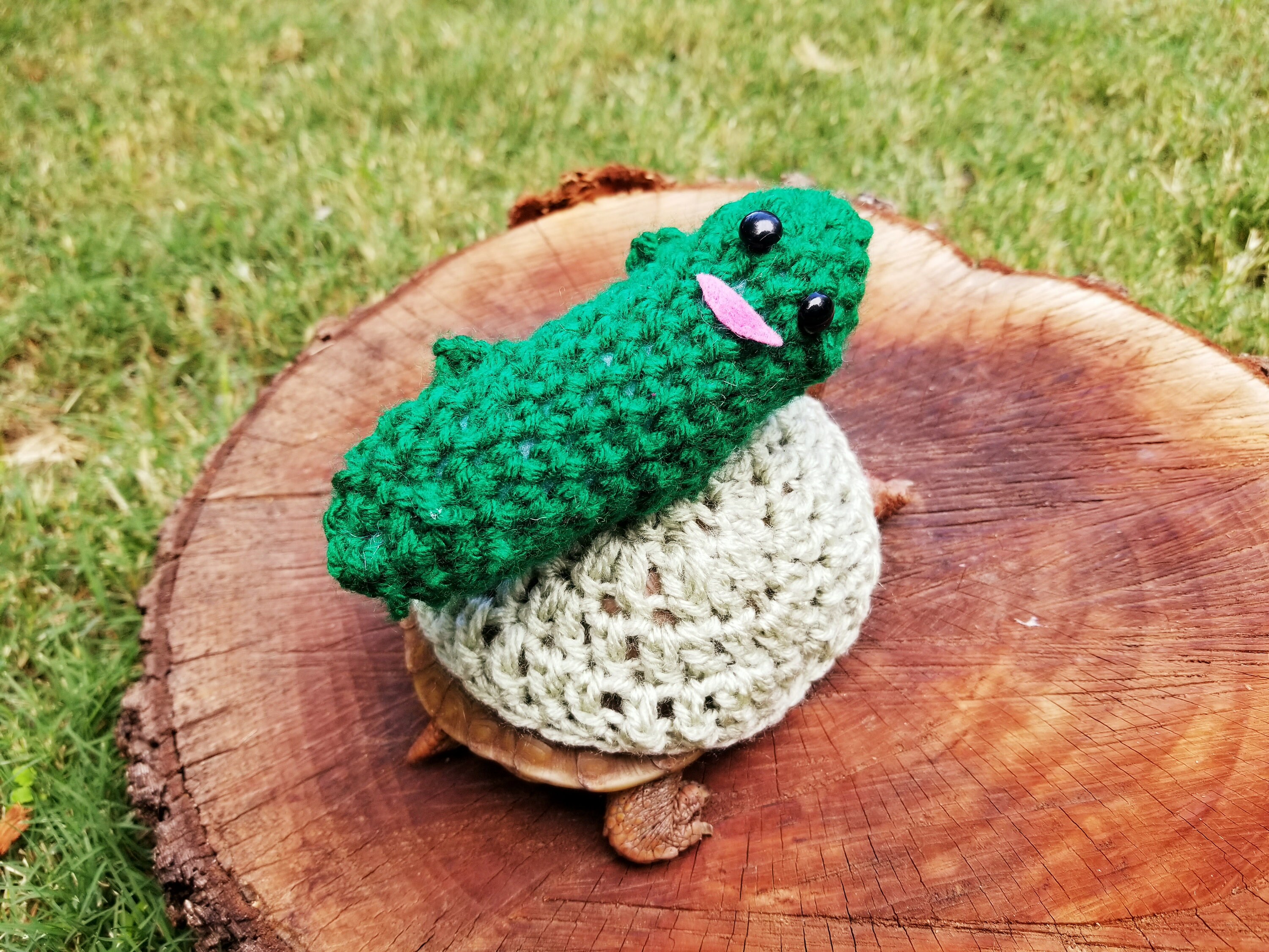 Mr. Pickle Inspired Crochet Costume for Turtles/ Tortoises | Etsy