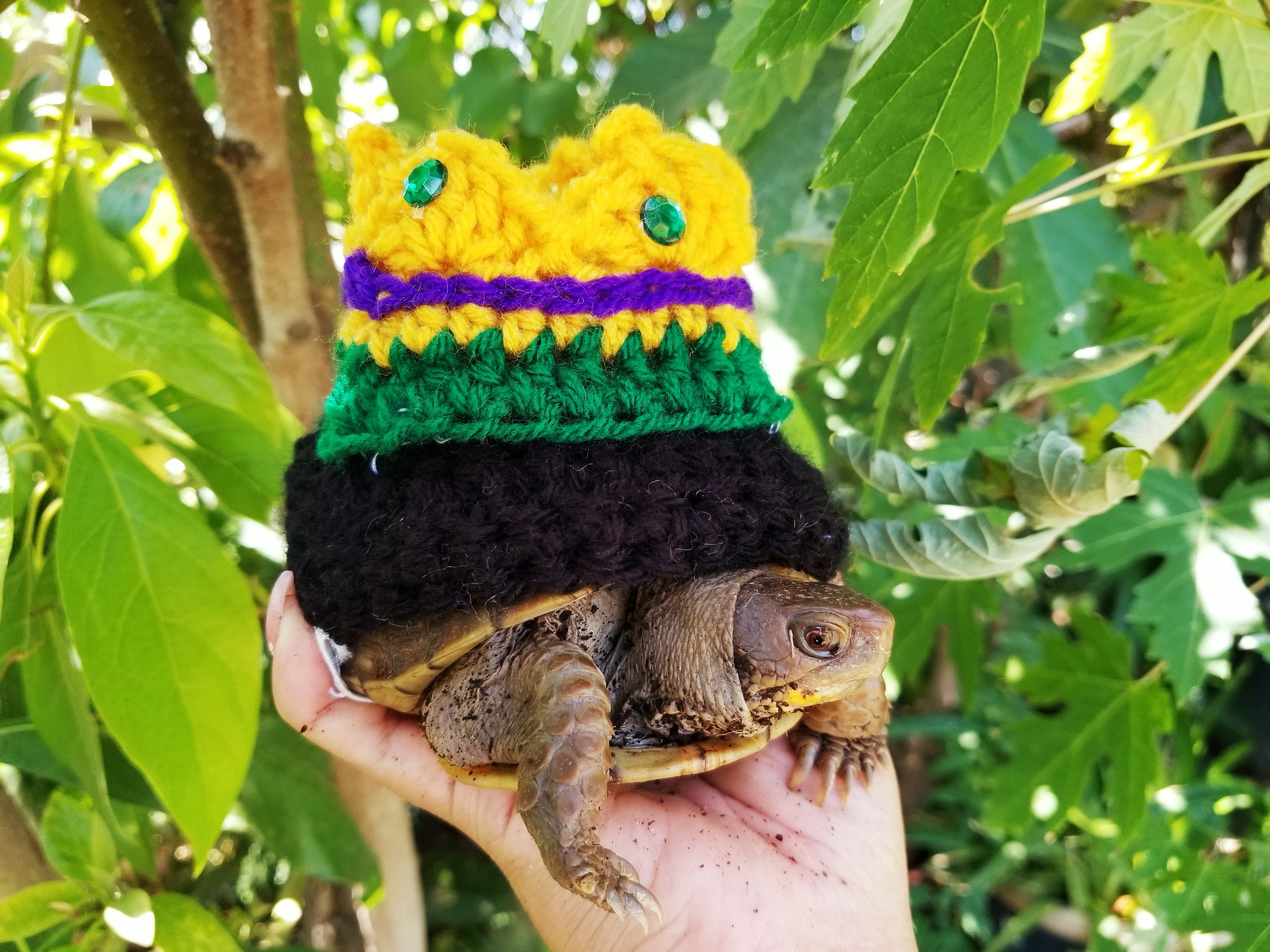 Mardi Gras Crown Crochet Costume for Turtles/ Tortoises | Etsy
