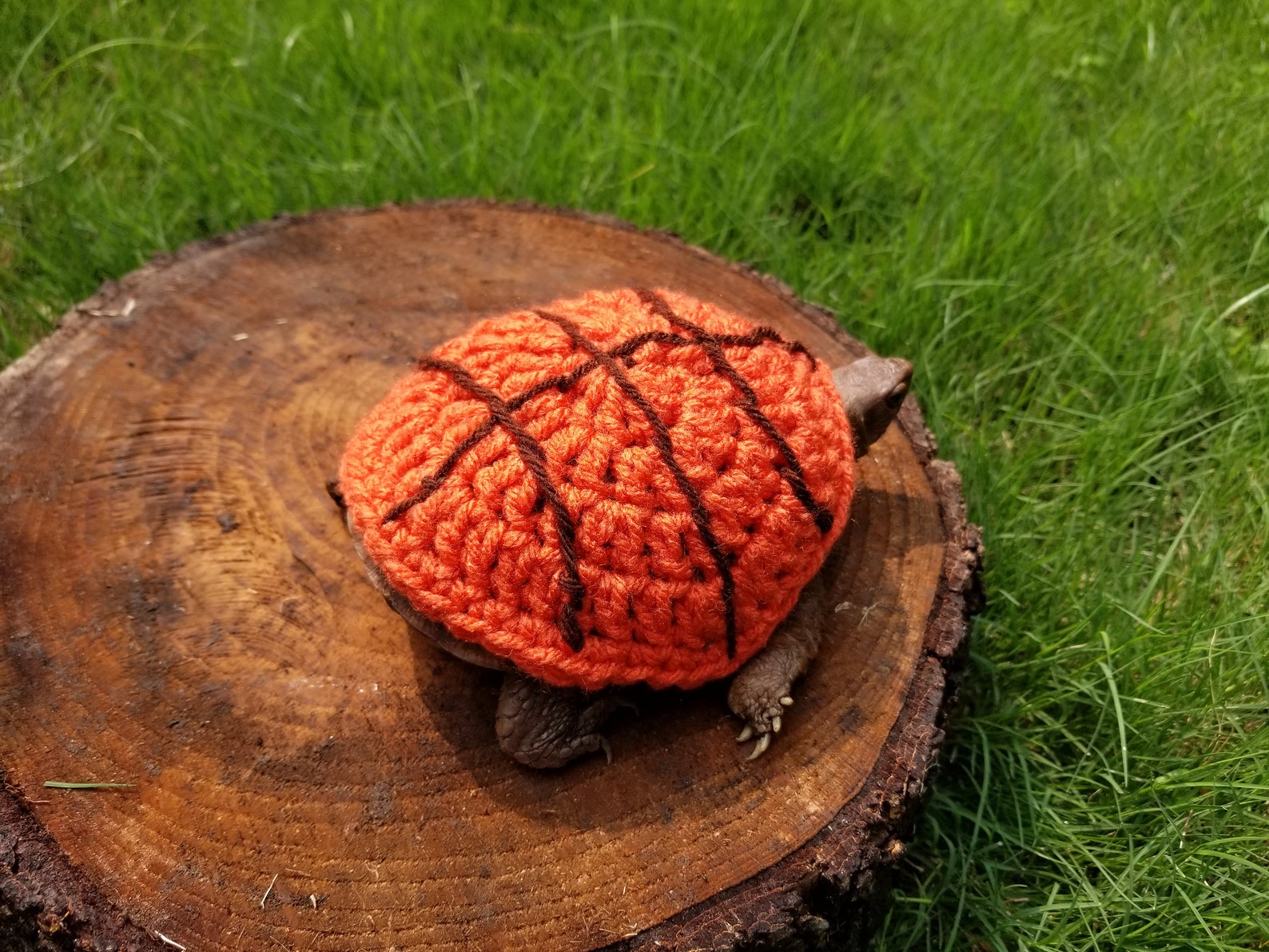 Basketball Crochet Costume for Turtles/ Tortoises - Etsy