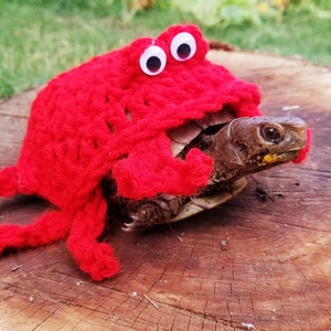 Crab Inspired Crochet Costume for Turtles/ Tortoises - Etsy