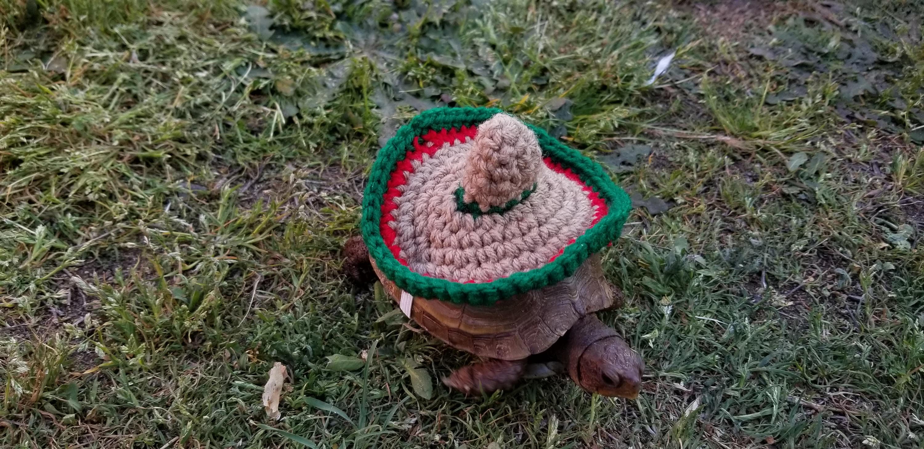 Mariachi Sombrero Turtle/tortoise Costume - Etsy UK