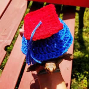 Graduation Cap Costume for Turtle/ Tortoise (please Provide Requested ...