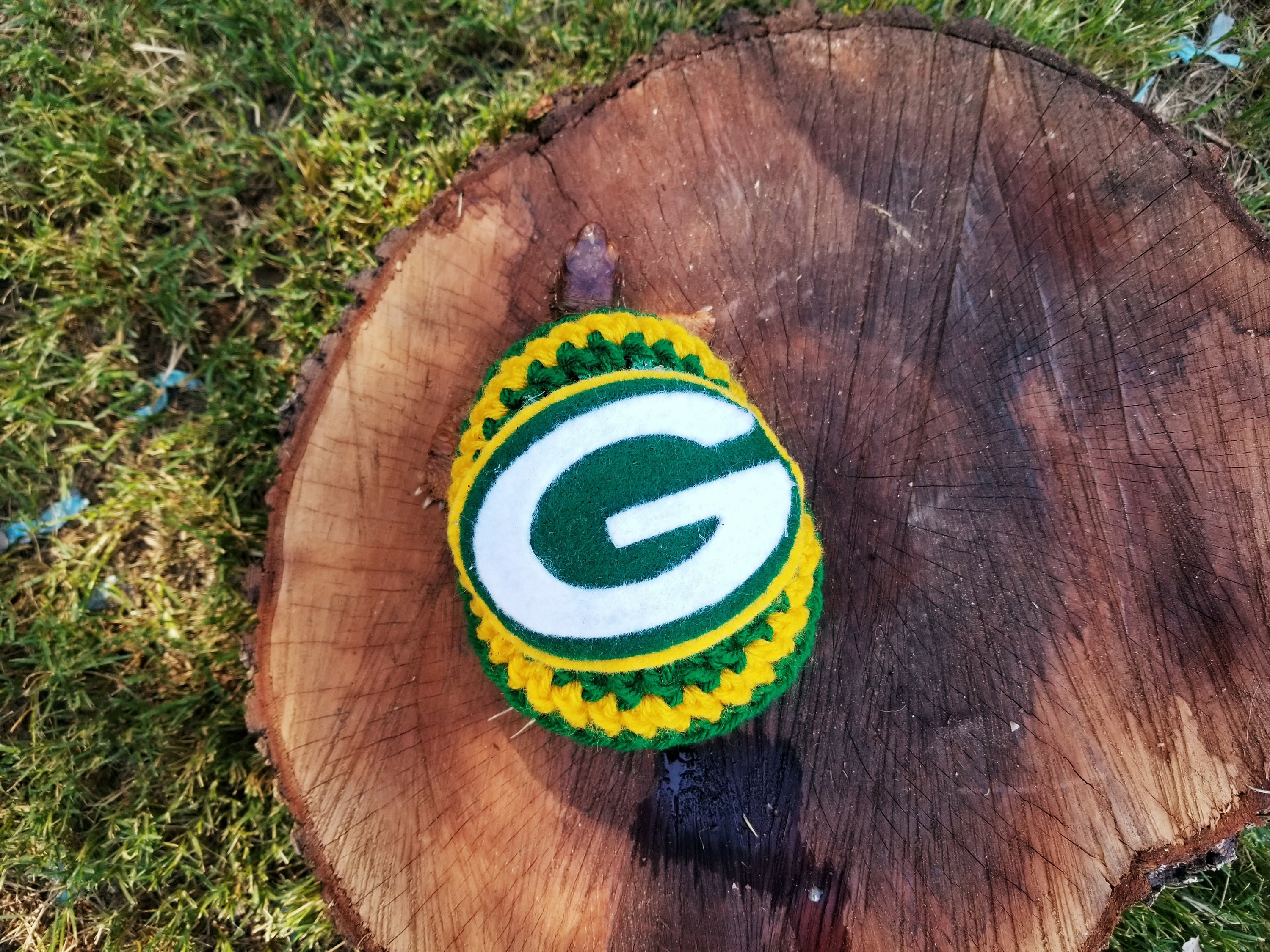 Football Team Inspired Costume for Turtles/ Tortoises - Etsy