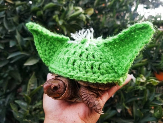 Yoda Ears Inspired Costume for Turtle/tortoises | Etsy