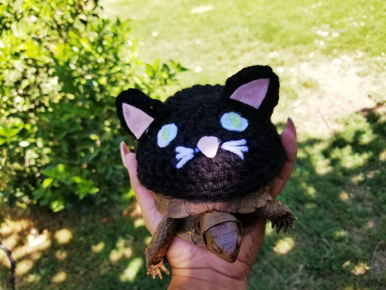 Black Cat Costume for Turtle/tortoises | Etsy