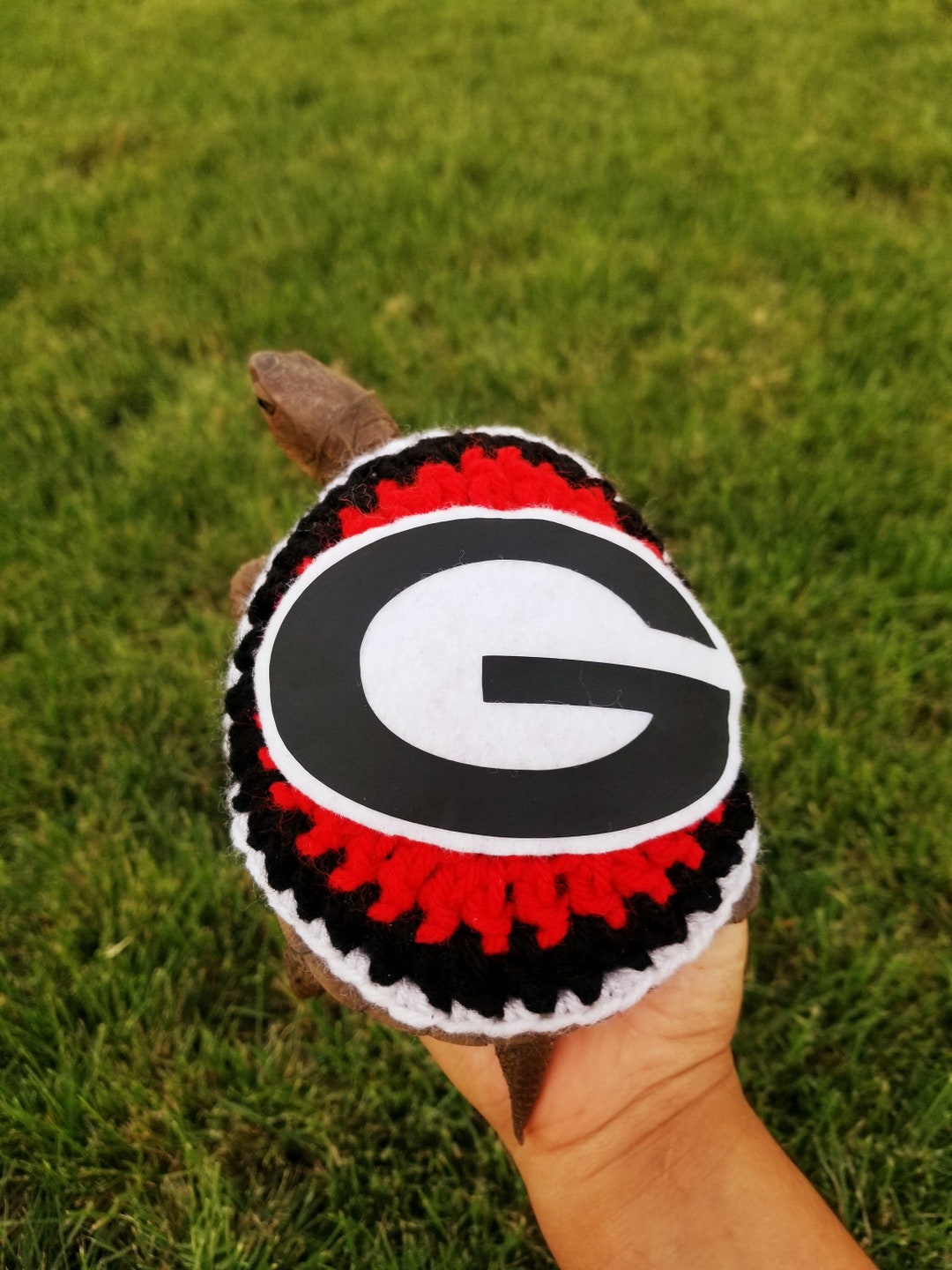 Football Team Inspired Costume for Turtle/ Tortoise - Etsy