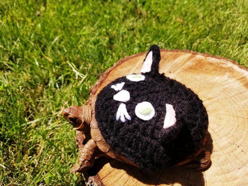 Black Cat Costume for Turtle/tortoises - Etsy