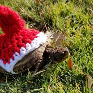 Crochet Santa Hat Turtle/tortoise Costume - Etsy