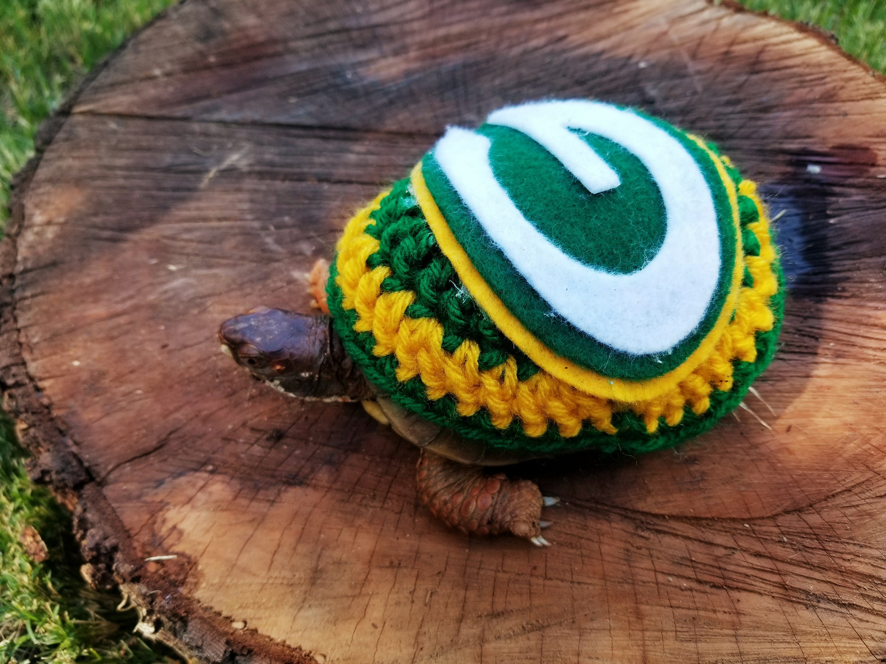 Football Team Inspired Costume for Turtles/ Tortoises | Etsy