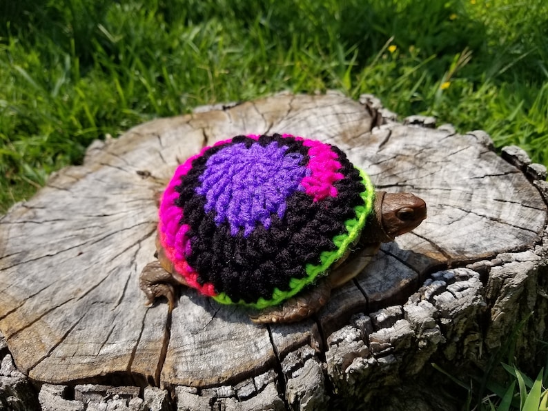 Rainbow Costume for Turtles/ Tortoises - Etsy