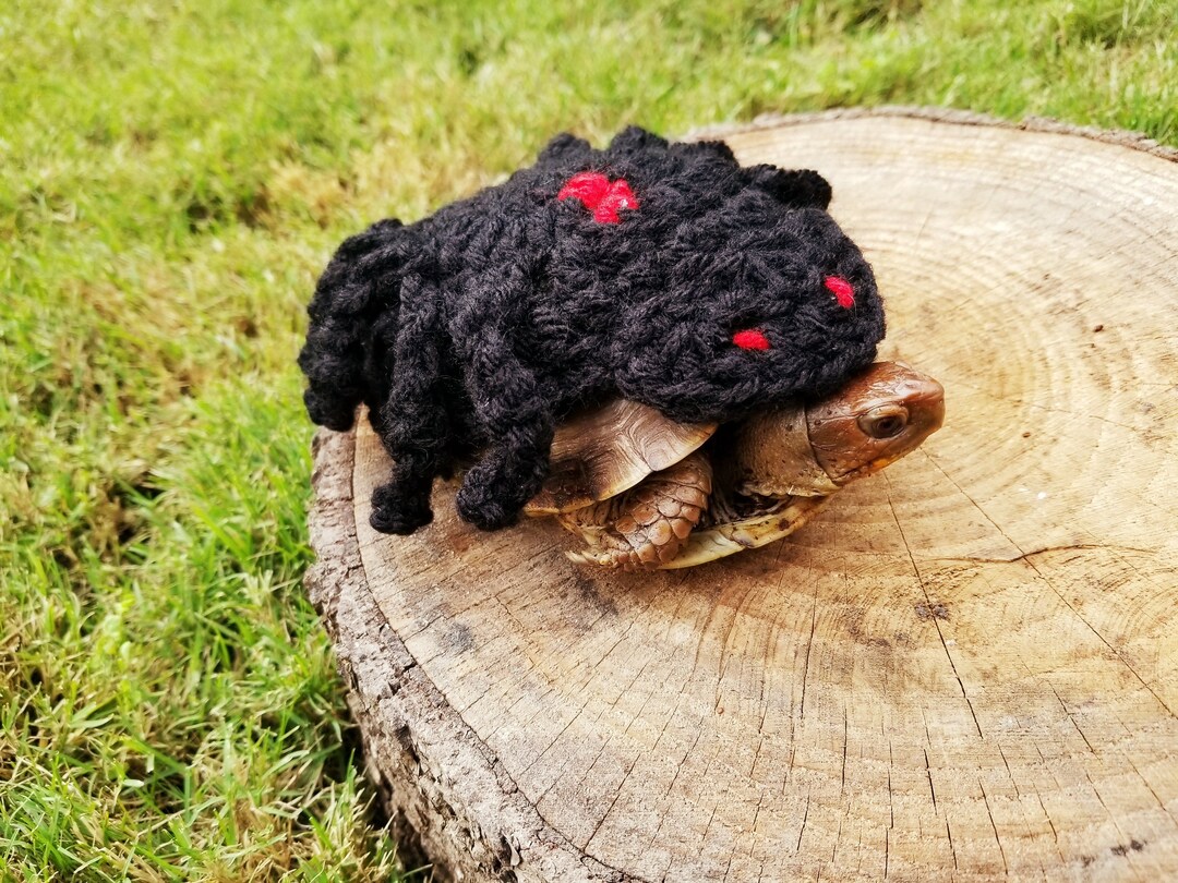 Spider Crochet Costume for Turtle/ Tortoise - Etsy