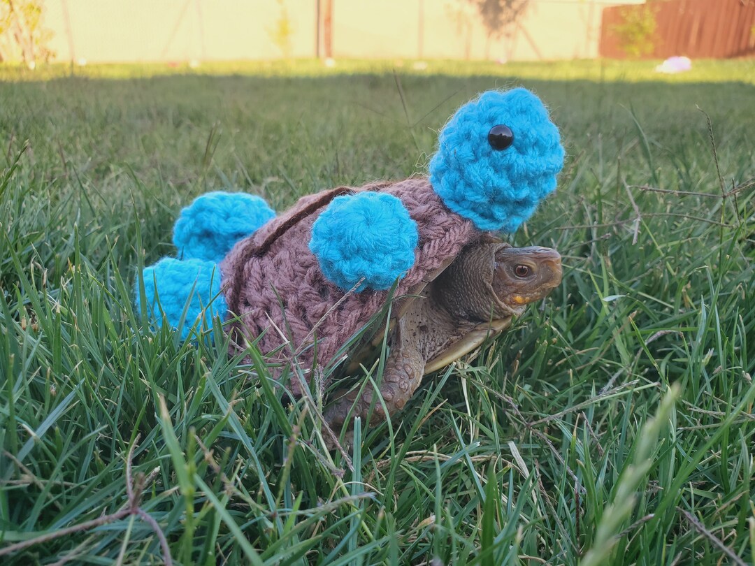Water Turtle Crochet Costume for Turtle/tortoises - Etsy