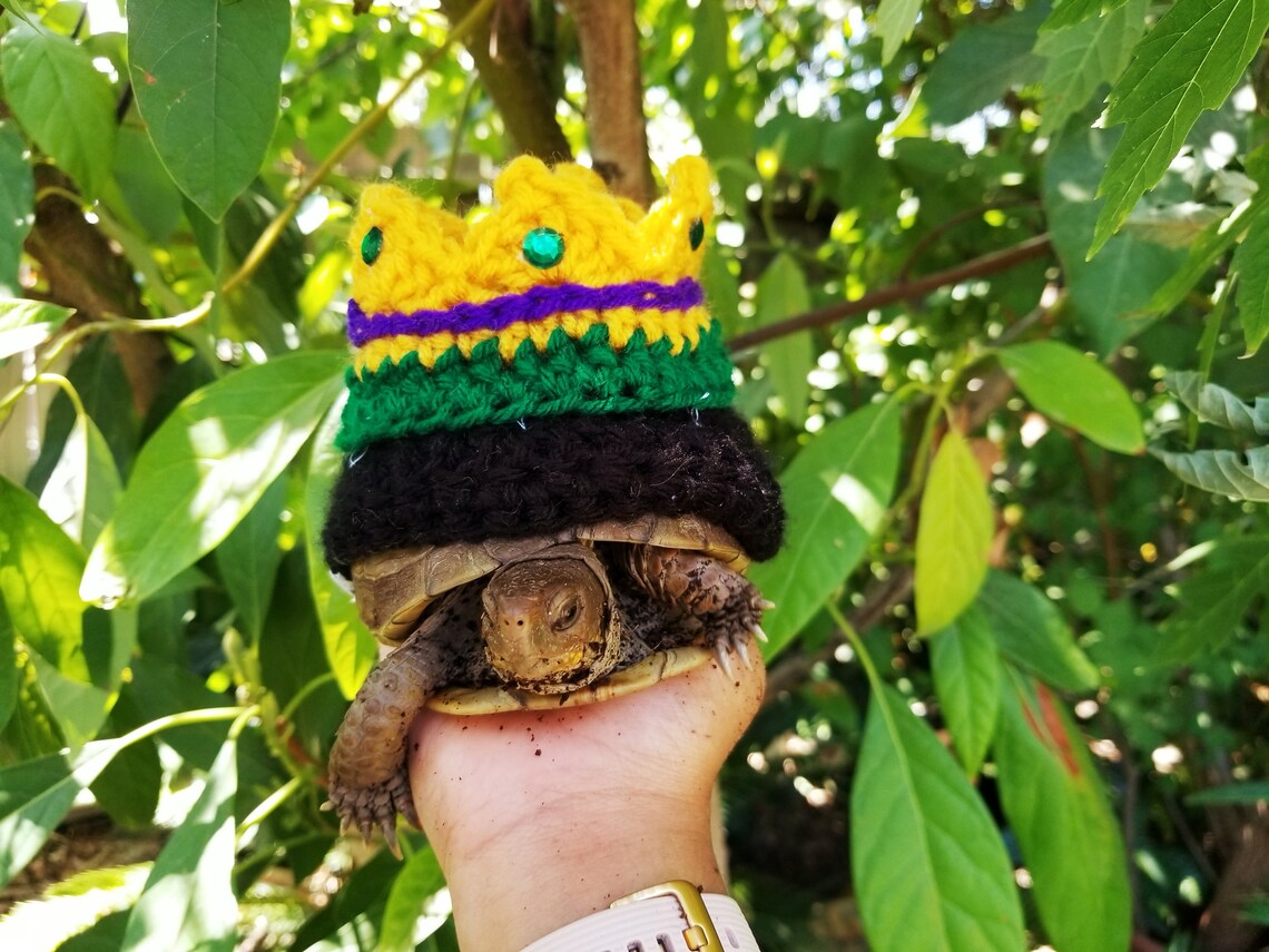Mardi Gras Crown Crochet Costume for Turtles/ Tortoises | Etsy