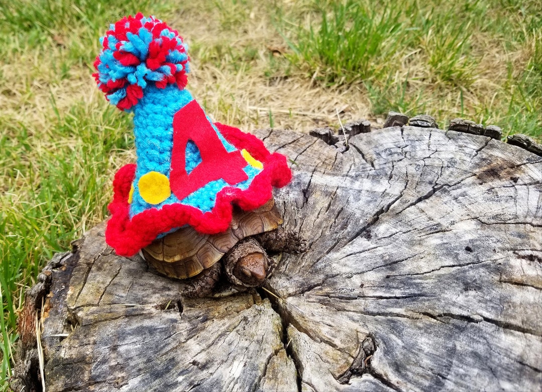 Birthday Hat Costume for Turtles/tortoises - Etsy