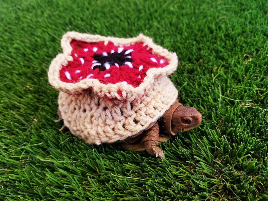 Scary Monster Inspired Crochet Costume for Turtles/ Tortoises - Etsy