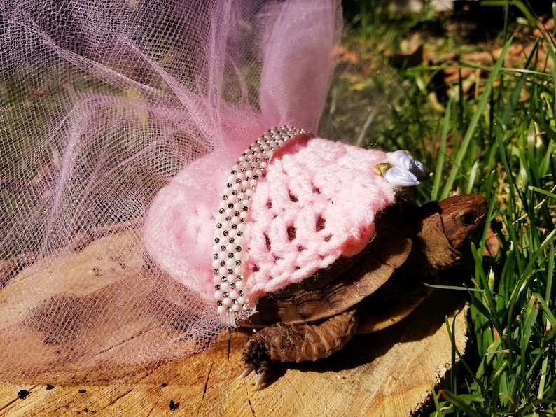 Bridesmaid Dress Crochet Costume for Turtles/ Tortoises - Etsy