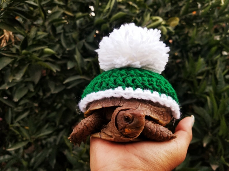 Festive Pom Pom Turtle/ Tortoise Costume | Etsy