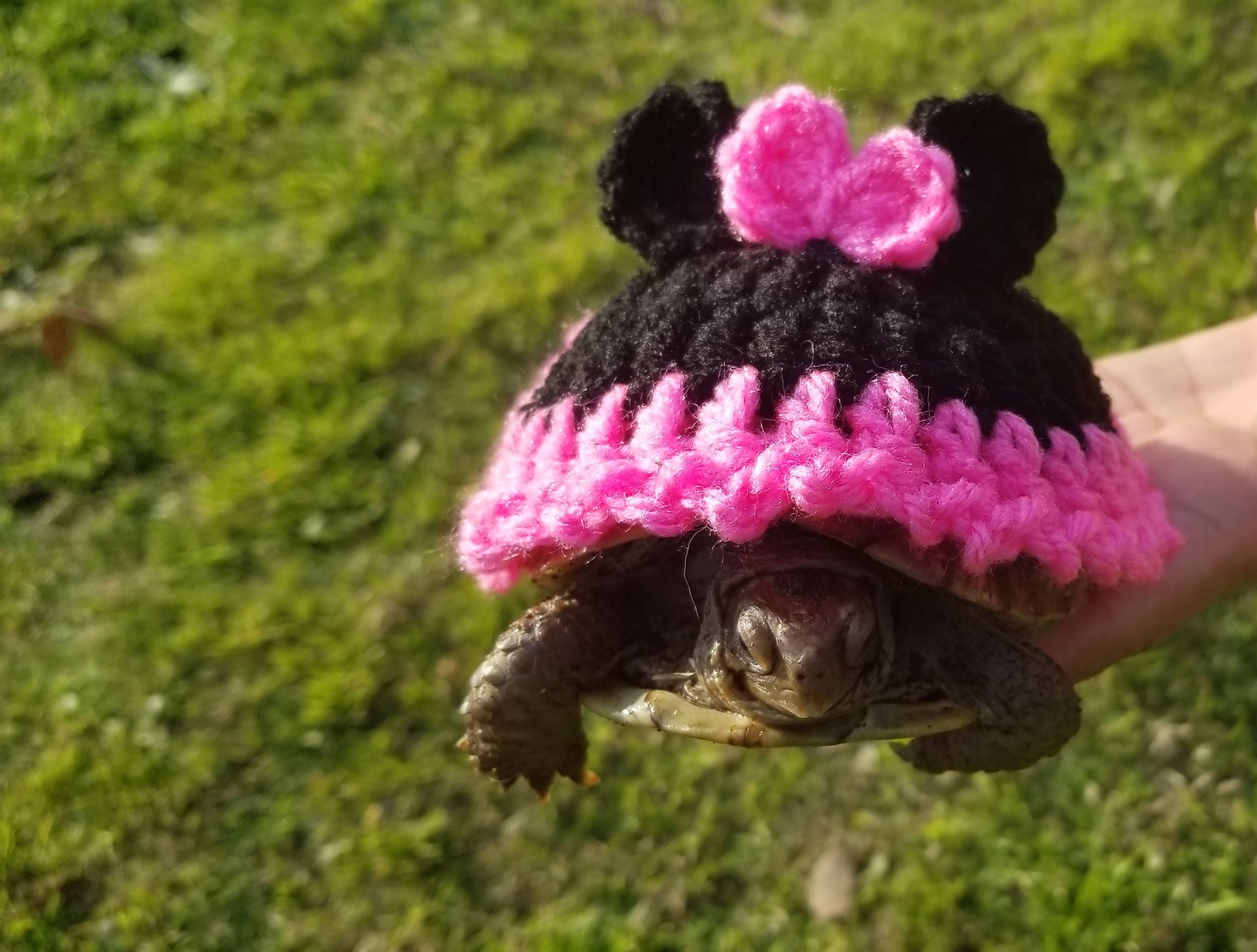 Mouse Costume for Turtles/ Tortoise - Etsy