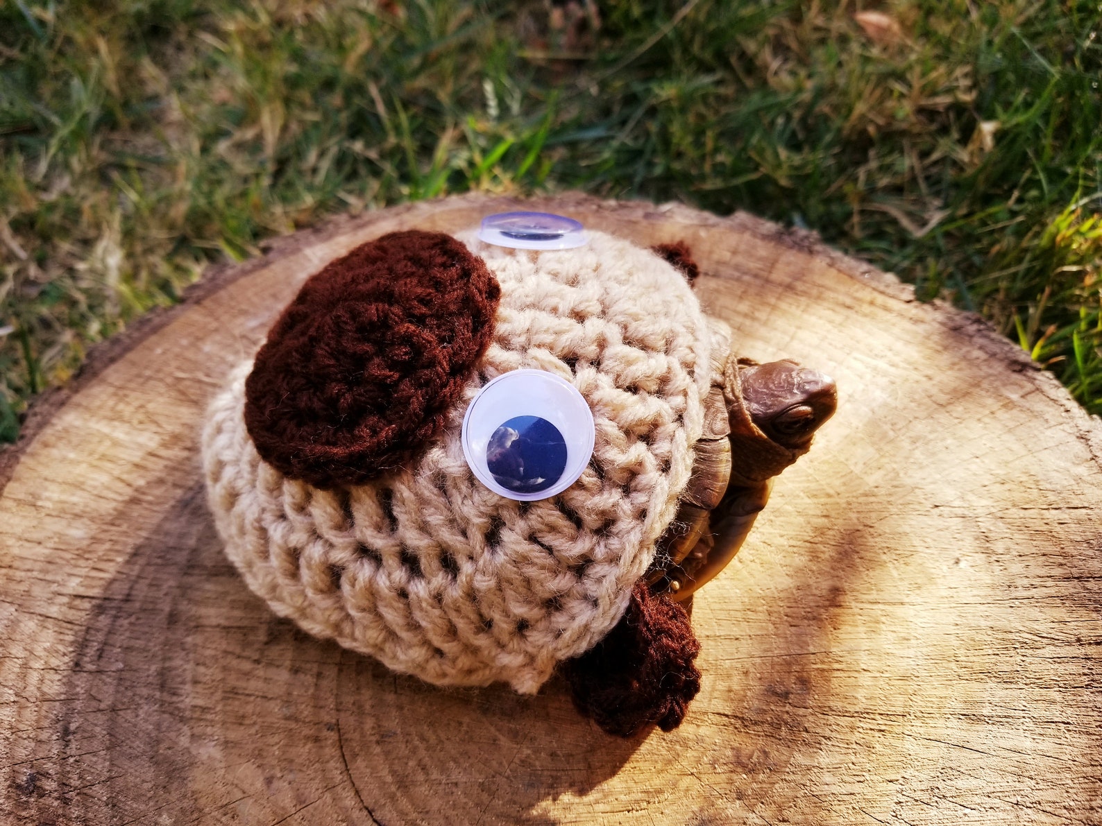 Pug Face Crochet Costume for Turtle/tortoises - Etsy