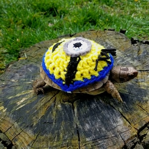 Minion Inspired Costume for Turtles/tortoises - Etsy