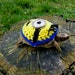 Minion Inspired Costume for Turtles/tortoises - Etsy