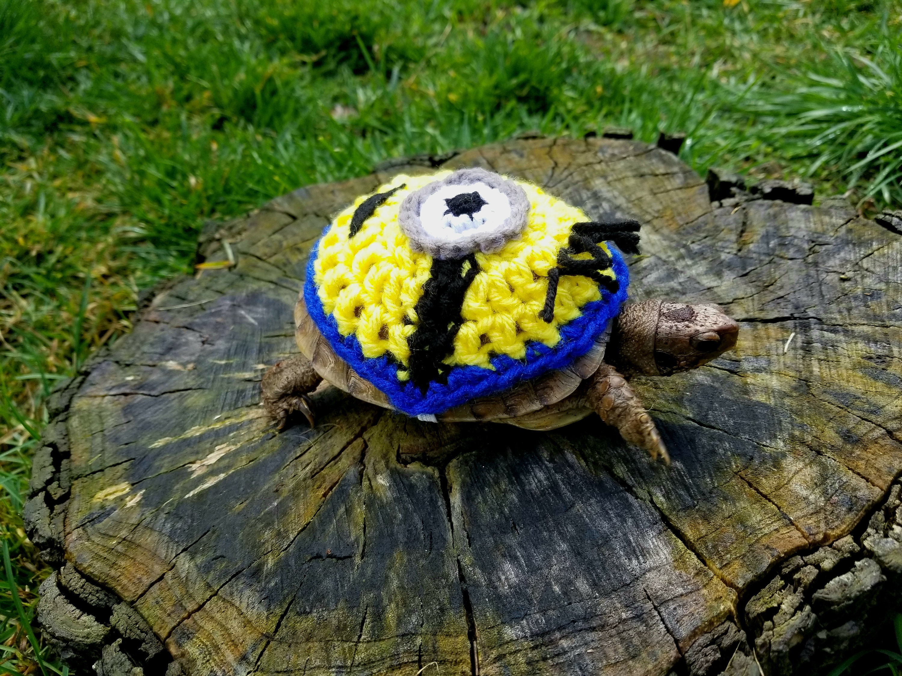 Minion Inspired Costume for Turtles/tortoises - Etsy