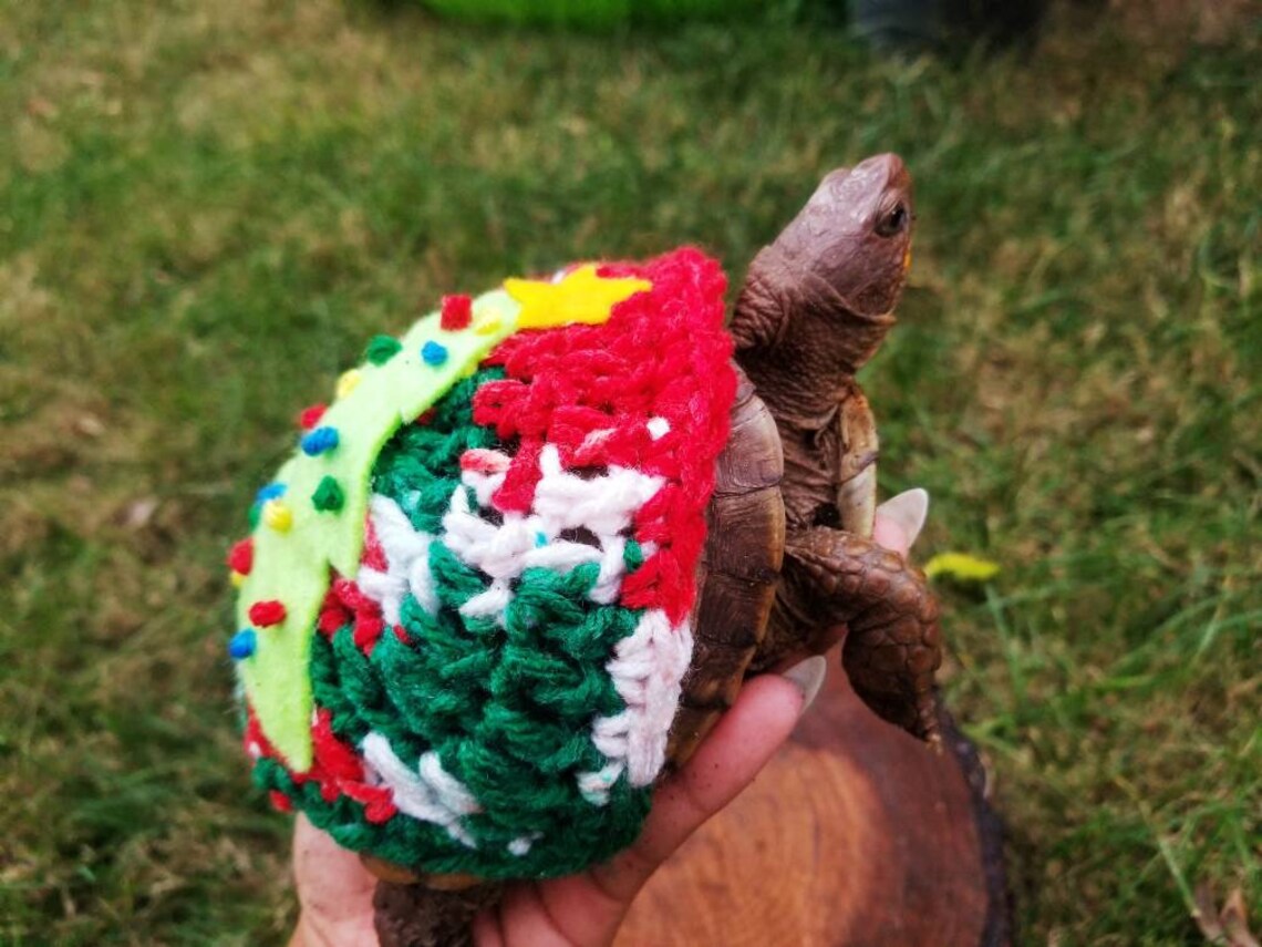 Ugly Sweater Christmas Costume for Turtle/tortoises | Etsy